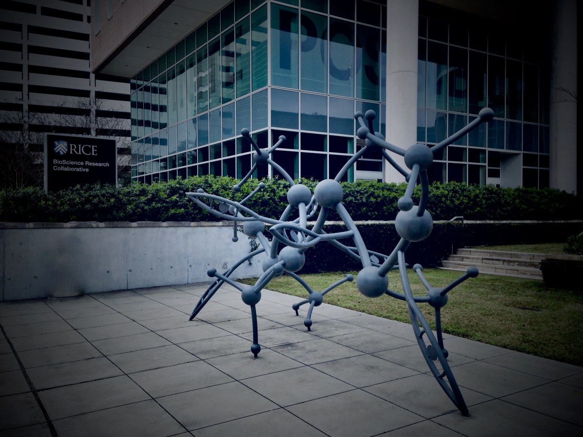 Research – Melia E. Bonomo